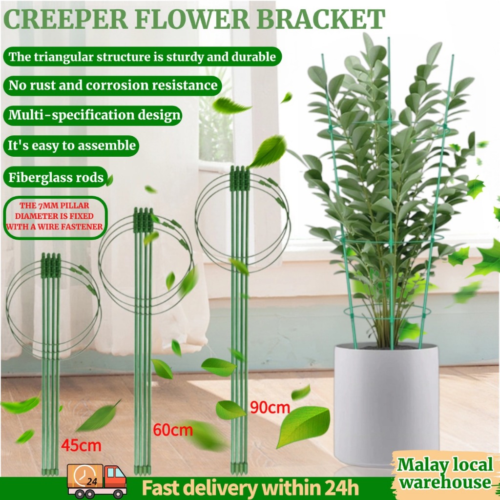 Gardening Flower Fixed Support Pole Plant Climbing Trellis Flower ...