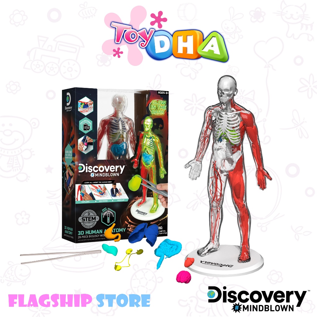 Discovery Mindblown Toy 3D Human Anatomy Kit Educational Learning STEM ...