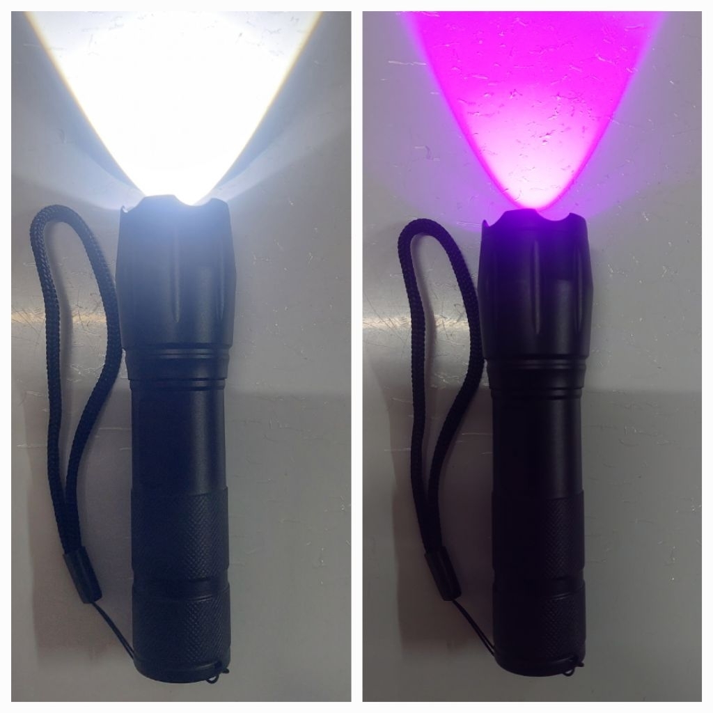 Torchlight 2 LED White & Ultraviolet UV Light For Bank Notes ...