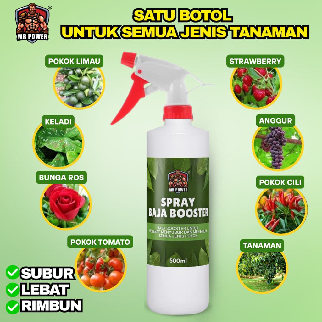 Mr Power Spray Baja Booster /Flower Booster / Baja Penggalak Bunga ...