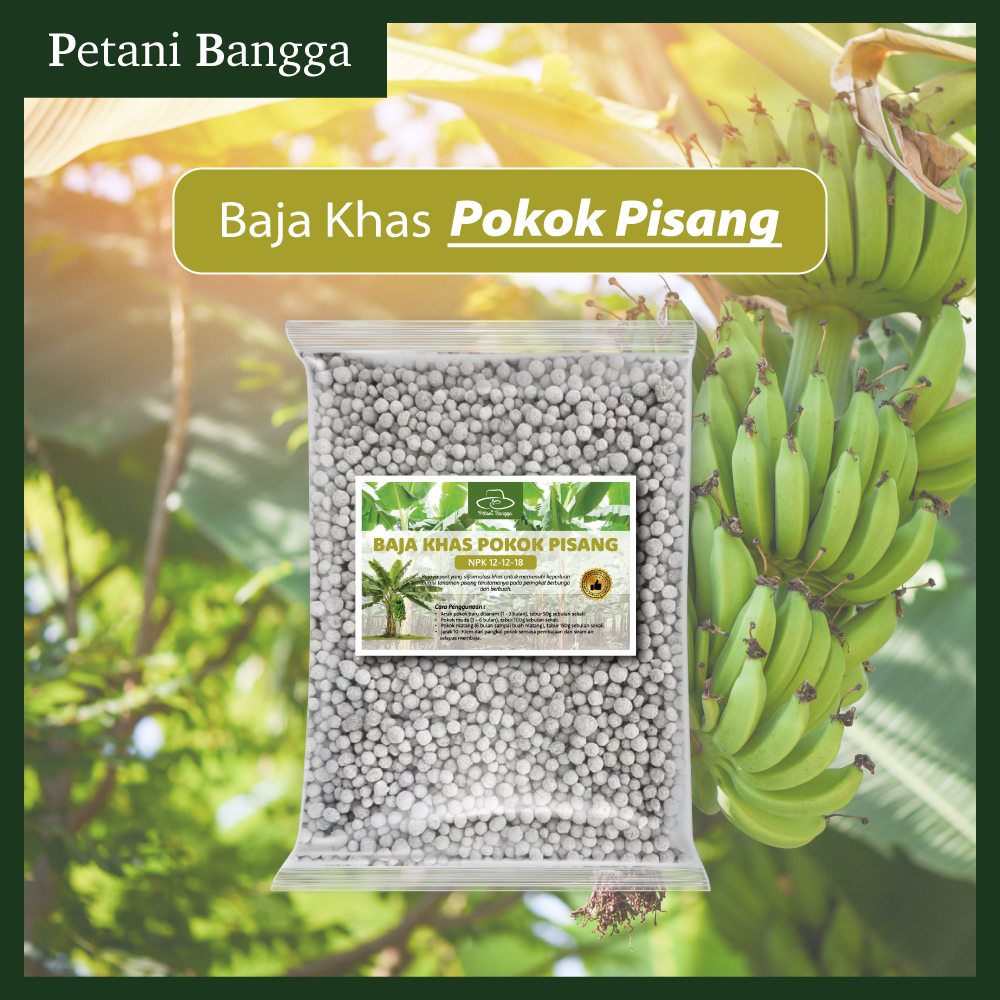 [KHAS SERIES] BAJA KHAS PISANG | Baja Premium & Import | Baja 12-12-18 ...
