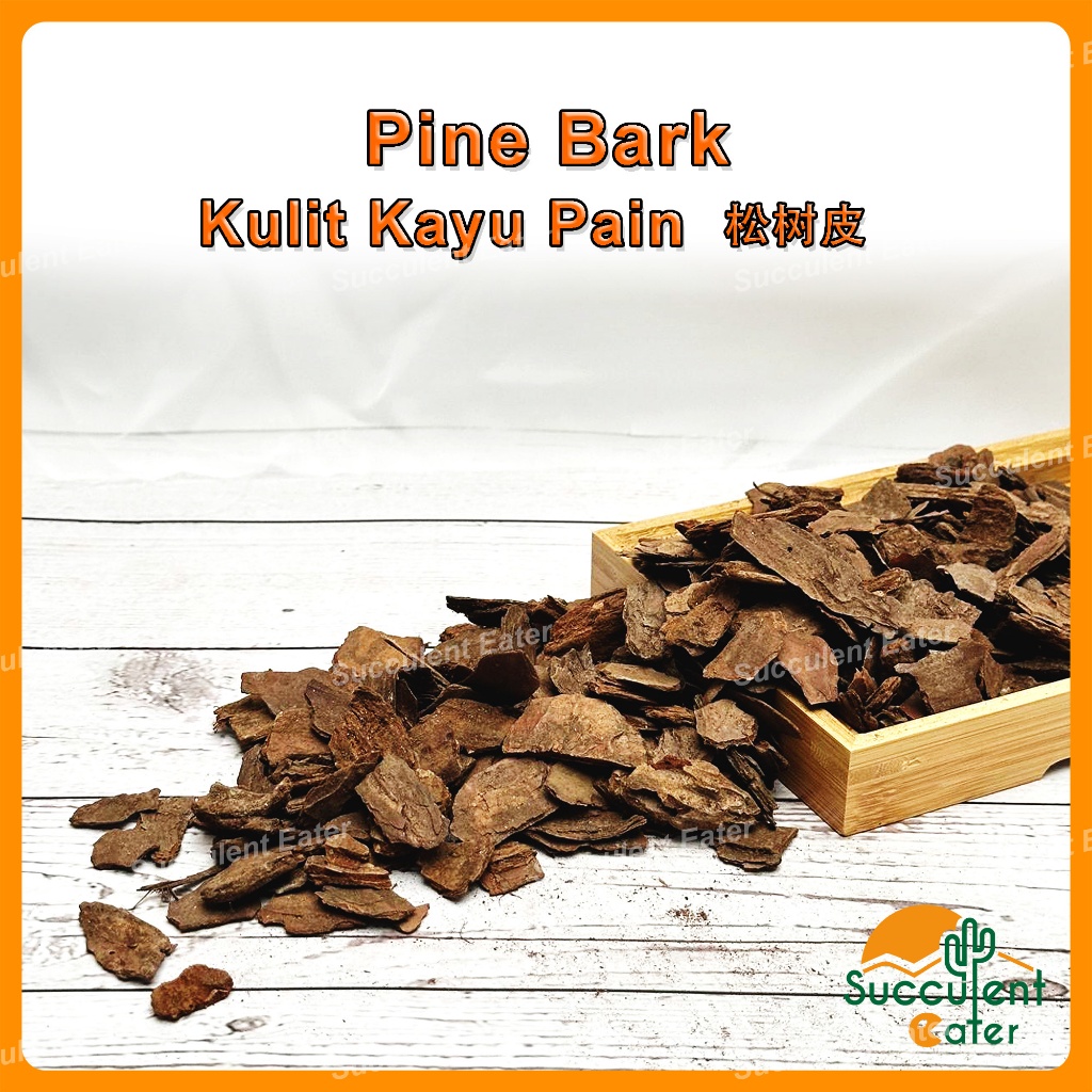 Pine Bark 1 Liter Kulit Kayu Pain Garden Plant Wood Orchid Turtle ...
