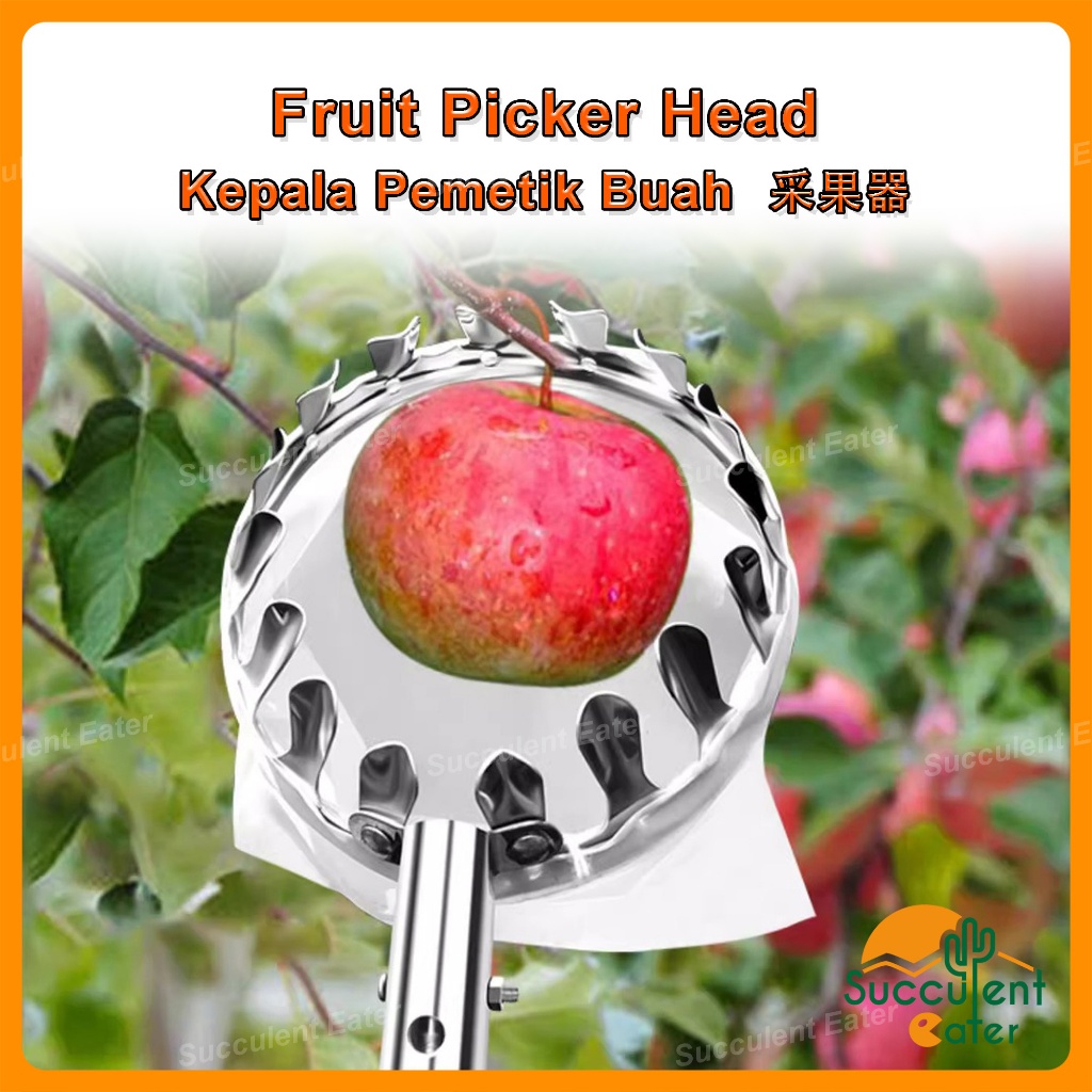 Fruit Picker Head Cloth Fruit Tree Tools Alatan Kepala Pemetik Pokok ...