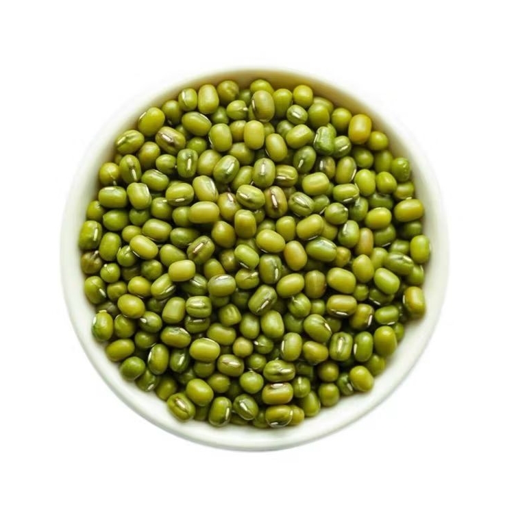 [Henchen] 500g/1kg 绿豆 green bean mung bean kacang hijau | Shopee Malaysia
