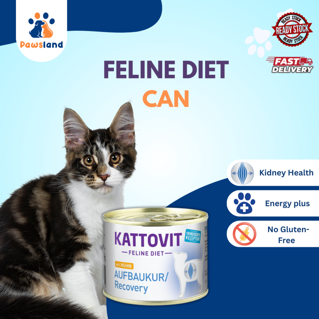 KATTOVIT feline diet recovery can 185g | Shopee Malaysia