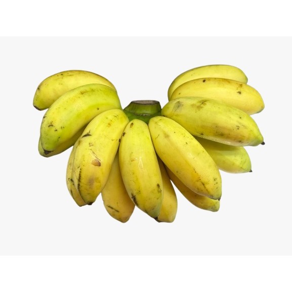 ANAK POKOK PISANG RASTALI (1pcs) | Shopee Malaysia