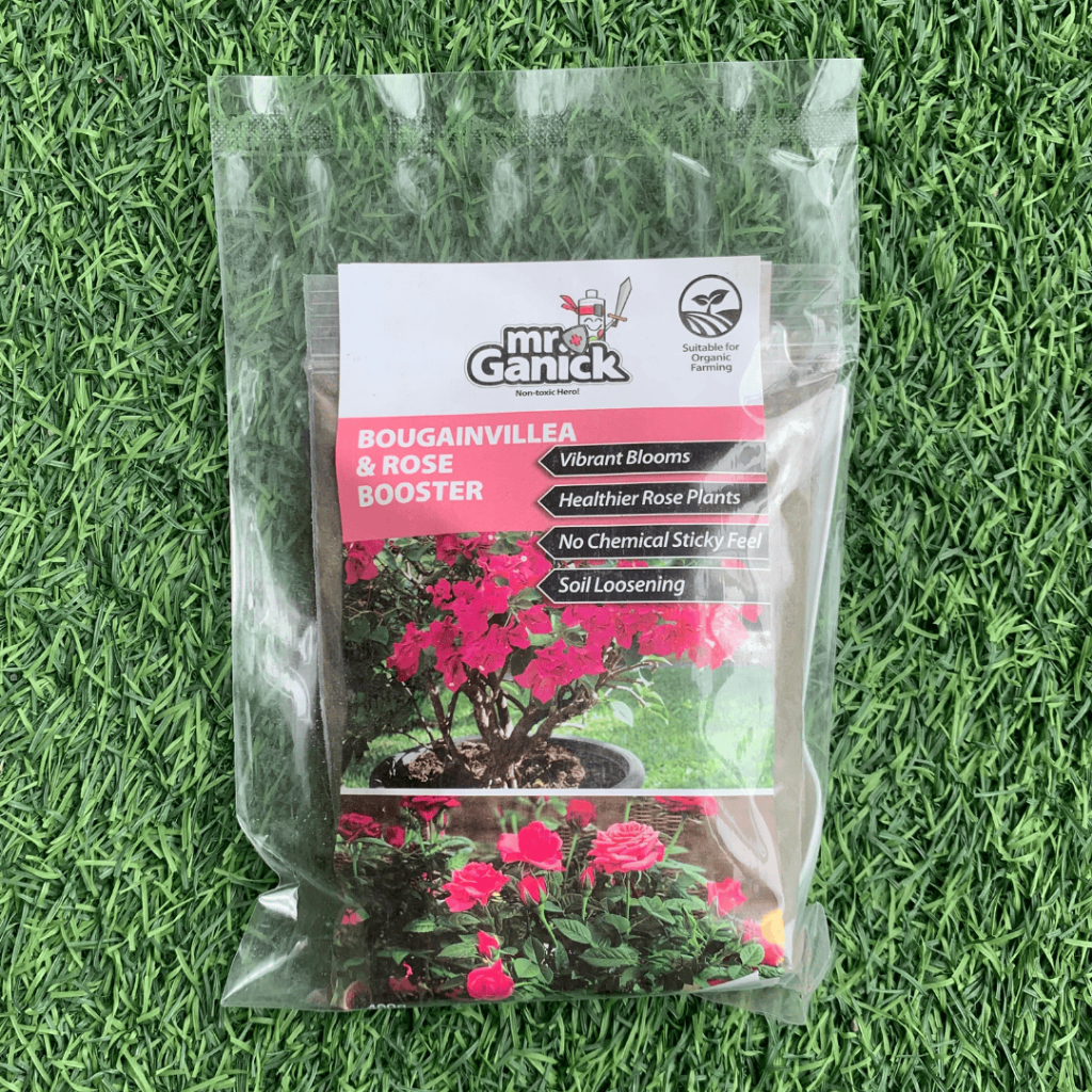 Baja Bunga Rose & Bunga Kertas Organik BABA Mr Ganick Bougainvillea ...