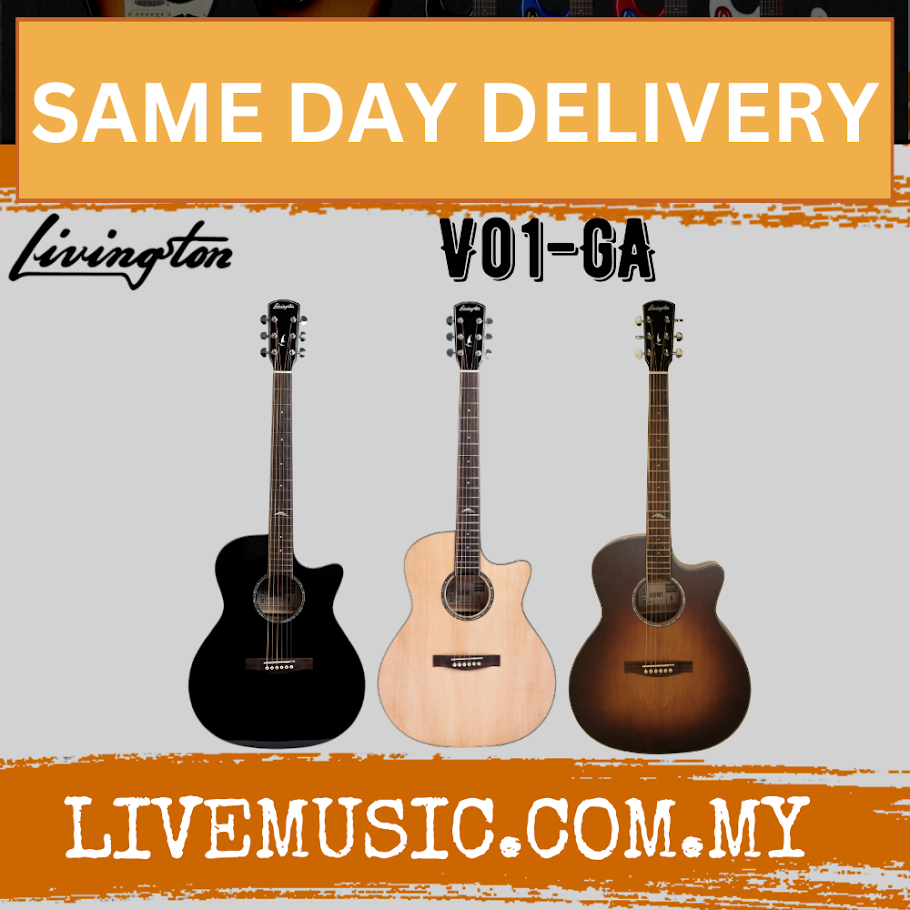 Livingston V01-GA 41" Solid Top Acoustic Guitar, Rosewood FB, Orange ...