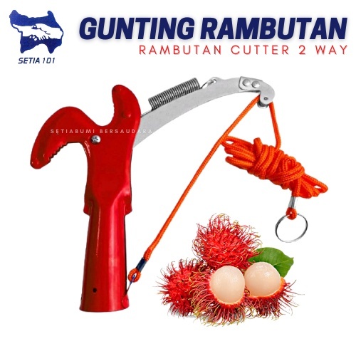 GUNTING RAMBUTAN 2 MATA / GUNTING KAIT BUAH / 2 WAY RAMBUTAN CUTTER ...