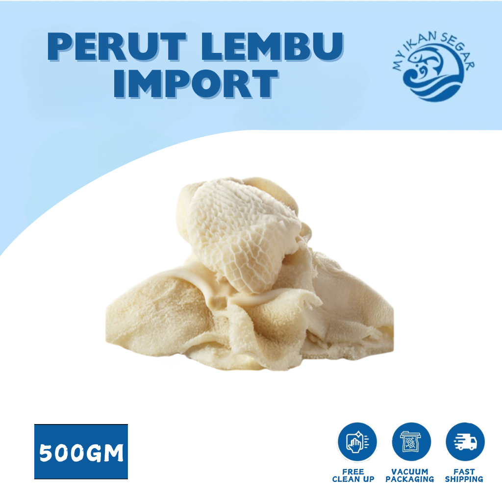 BEEF TRIPE Perut lembu 牛肚 BEEF WHITE STRIPE (siap siang dan cuci ...