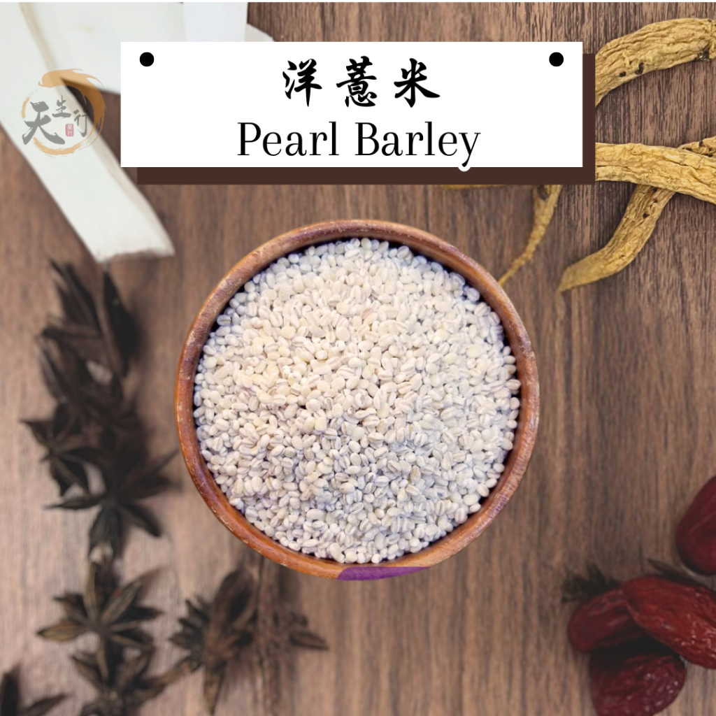 【TIEN SUNG】荷兰薏米 Holland Pearl Barley Holland Barli 500G/1KG 洋薏米 珍珠薏米 ...