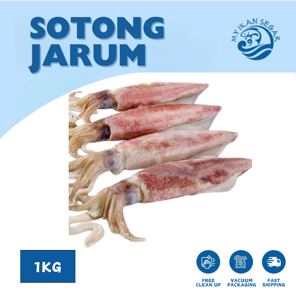 SOTONG JARUM 1KG (SIAP SIANG & CUCI) SOTONG SEGAR SOTONG FRESH SQUID ...