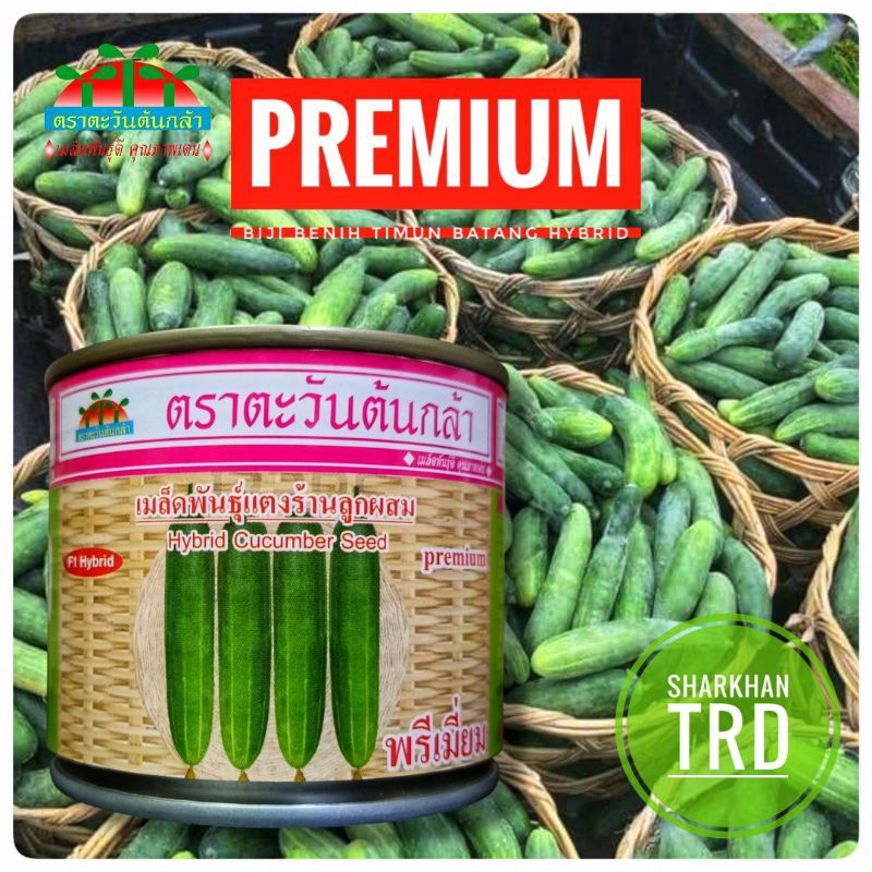NEW STOCK!! Tin 50g (+-1600 Biji) TIMUN PREMIUM Advance Seeds Thailand ...