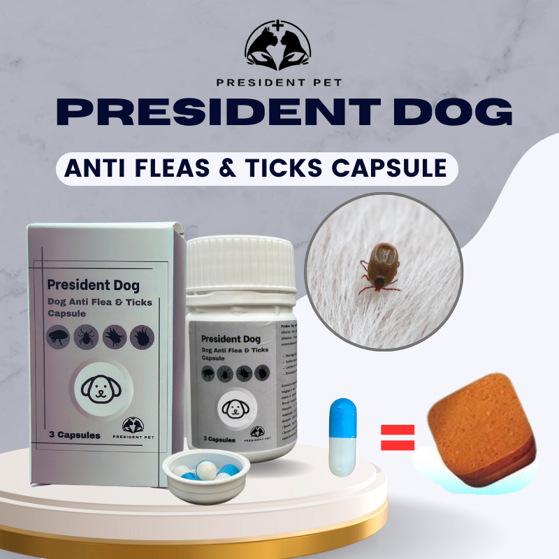 [President Dog] Anti Ticks and Fleas Capsule for Dogs x 1 Capsule Ubat ...