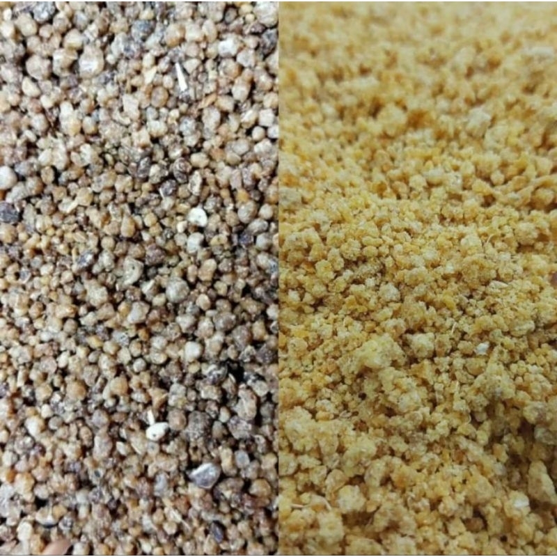 Tiwul/Ubi kayu makanan Khas Asli gunug kidul 1kg/500g | Shopee Malaysia