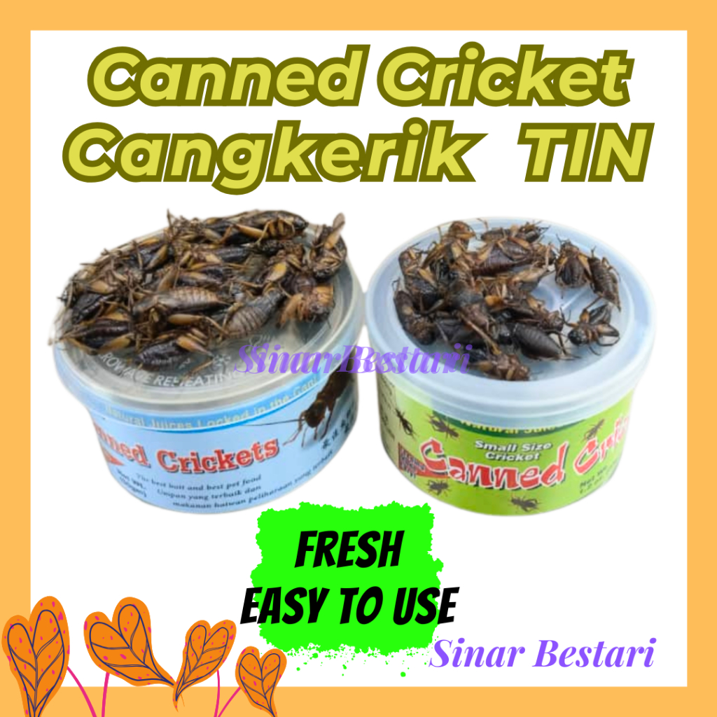 Cengkerik Tin Canned Cricket Small Fish 35g Large 50g Farm Raised Fish ...