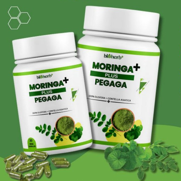 Moringa Pegaga BioHerb+ Original HQ 100% Halal | Shopee Malaysia