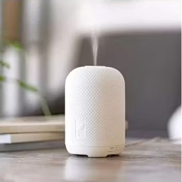 Haven diffuser YL New | Shopee Malaysia