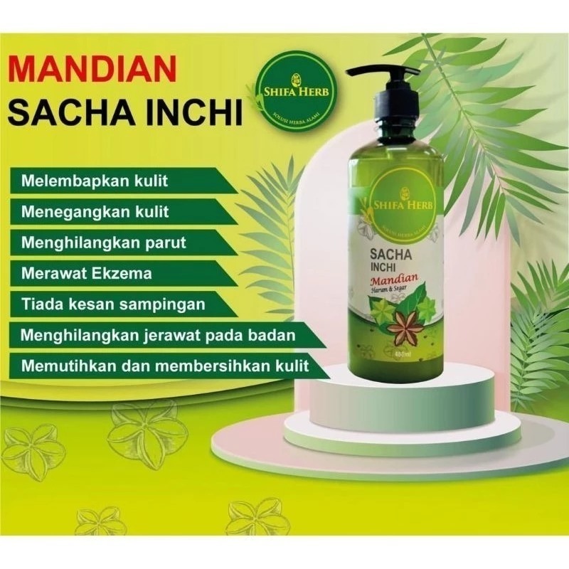 Original SACHA INCHI MANDIAN READY STOCK | Shopee Malaysia