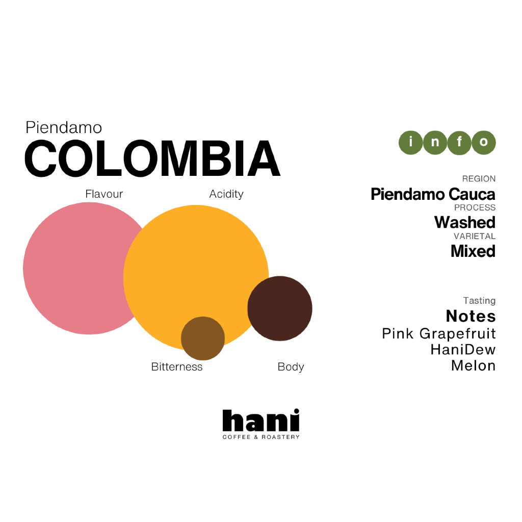 Colombia Piendamo Cauca [Washed] Single Origin Light Roast 200gram/can ...