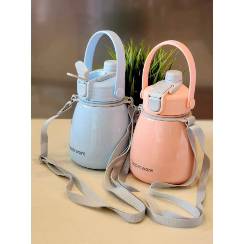 Tupperware Insulated PotBelly Bottle 1L with box (1pc) | Shopee Malaysia