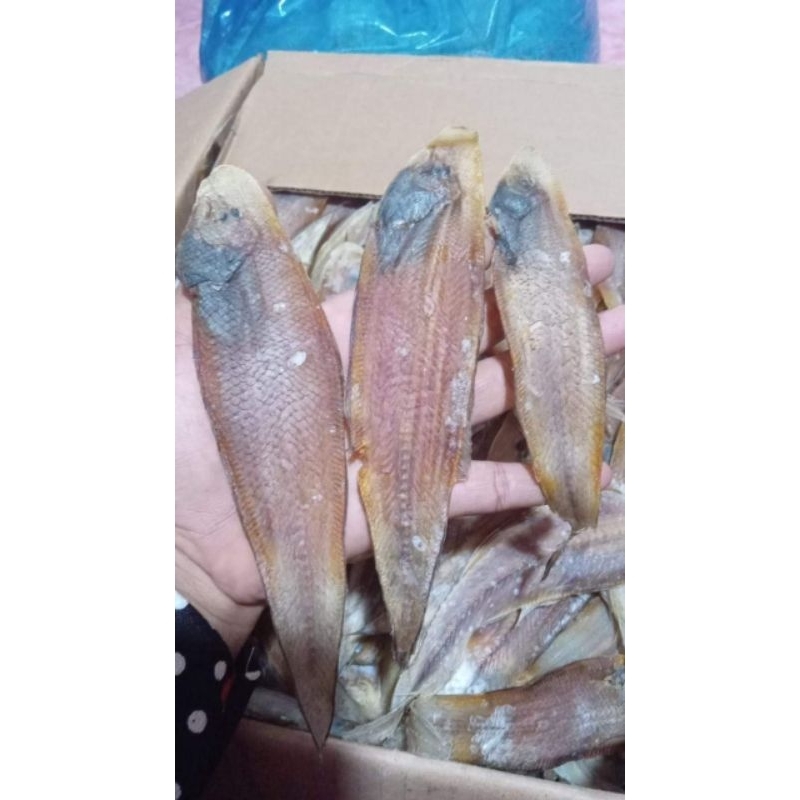 Ready Stock Ikan Masin Lidah Kering HALAL250g/500g/1kg Kualiti Premium ...