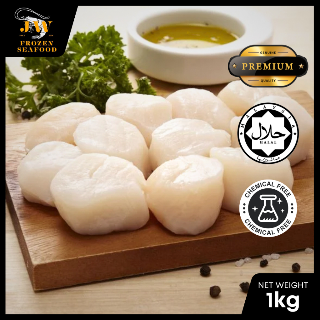 Healthy [𝑪𝒉𝒆𝒎𝒊𝒄𝒂𝒍 𝑭𝒓𝒆𝒆] 1KG 𝑿𝑿𝑳 Hokkaido White Scallop 北海道白带子 Size 11/ ...
