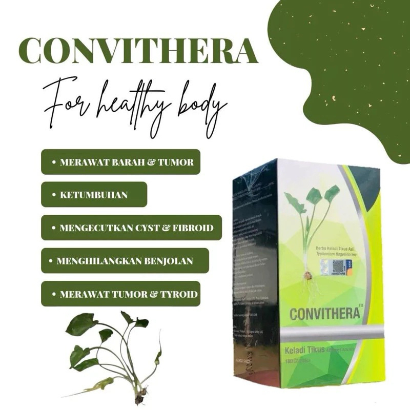 Herba Keladi Tikus 100% Original KKM Convithera Original HQ | Shopee ...