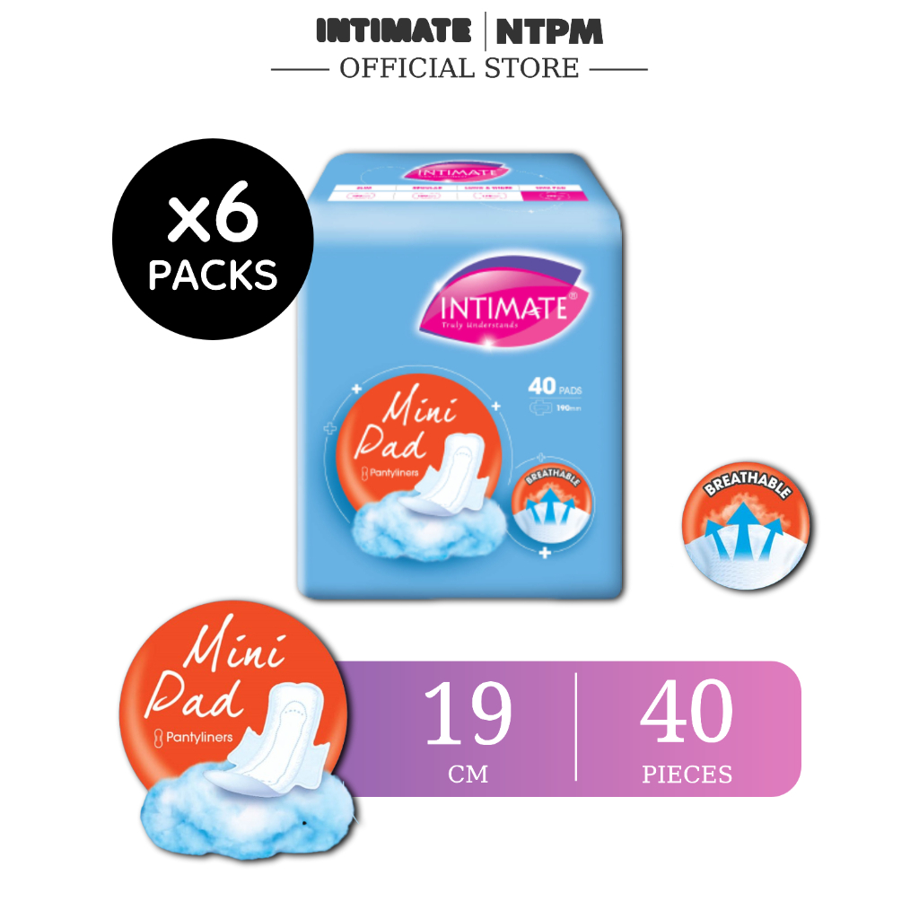 Intimate Mini Pad Wing 190mm (40's) x 6 Packets - [FREE INTIMATE BAG ...