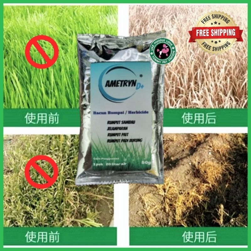 Ametryn D+ Rumput Sambau Degil Lebih Power dari Monex AMFINE Symbol ...