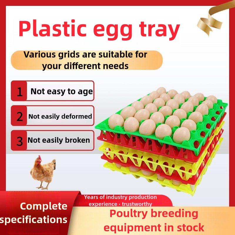 Bekas Telur Ayam 30 Biji/Egg Tray/ Plastic Egg/Egg Storage/Stackable ...