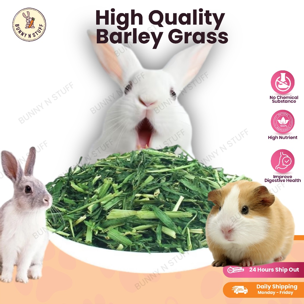 High Quality Barley Grass Segment Crispy Barley Chaff Grass high ...