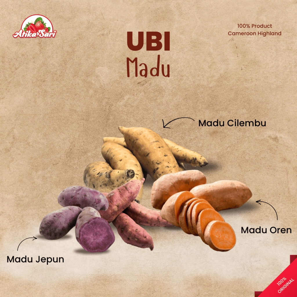 UBI MADU [JEPUN,CILEMBU,OREN] CAMERON HIGHLANDS | Shopee Malaysia