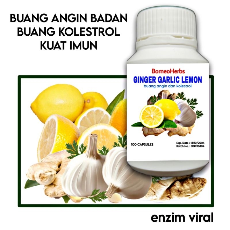 KAPSUL BUANG ANGIN BADAN Bawang Putih Garlic/Lemon/Ginger Halia ...