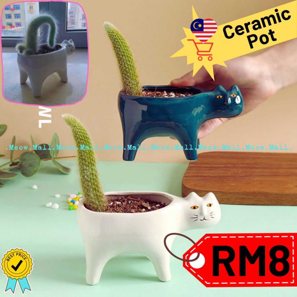 Ceramic Plant Pot Tray Cactus Pot Japan Flower Planter Succulent ...
