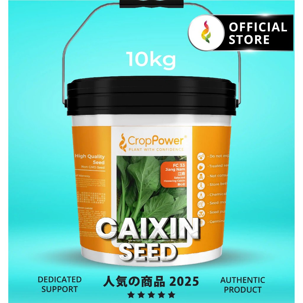 (10 KG) Biji Benih Sawi Bunga Hong Kong Jiang Nam 江南 FC33 Flowering ...