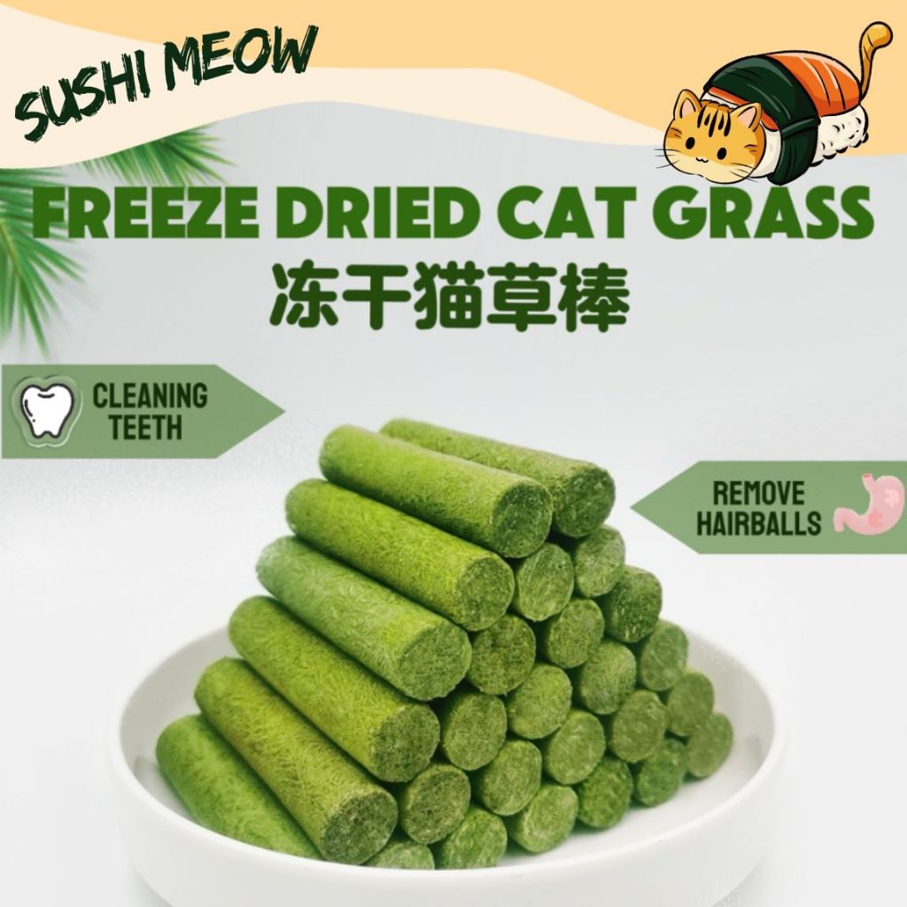 SushiMeow Cat Grass Stick Cat Treat Cat Snack Rumput Kucing Batang Snek ...