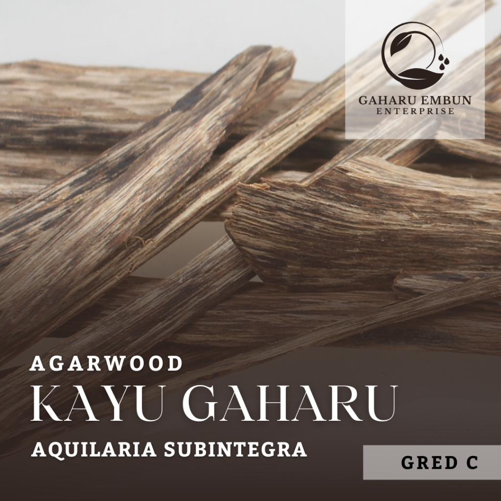 GAHARU EMBUN Gred C Aquilaria Subintegra Kayu Gaharu Asli (Agarwood Chip) 1 GRAM | Shopee Malaysia