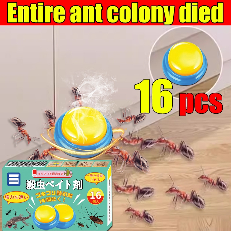 16pcs/box！WR Ant killer bait Ubat semut berkesan Ant poison Racun semut ...
