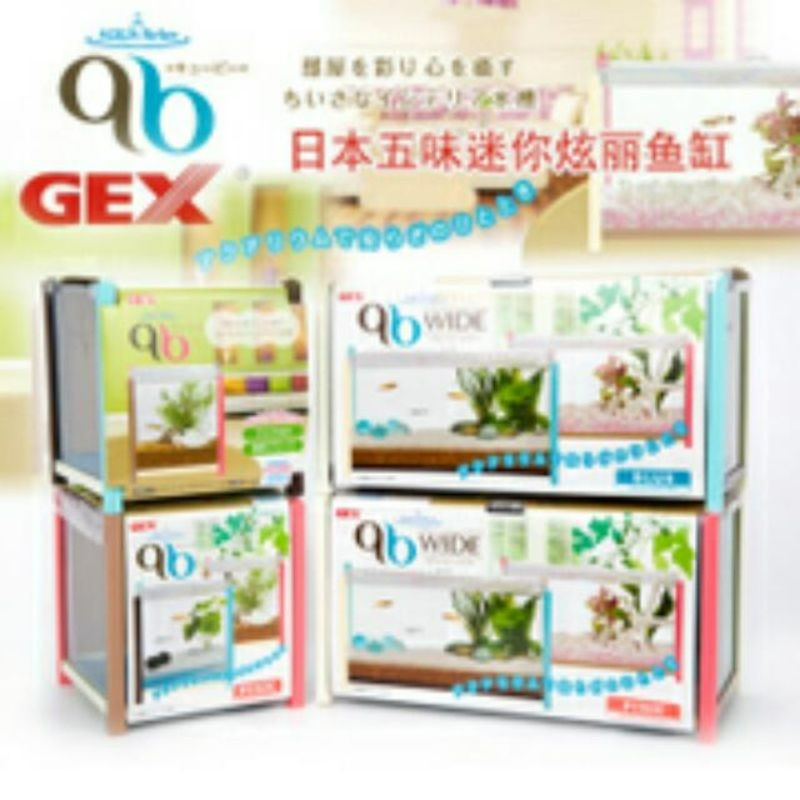 ***Malaysia READY STOCK*** GEX Desktop Water Tank Mini Aquarium Fish Tank GEX五味 qb鬥魚缸 角蛙 小型魚 微景觀 ...