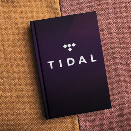 Tidal HiFi Music Audio Player | Shopee Malaysia