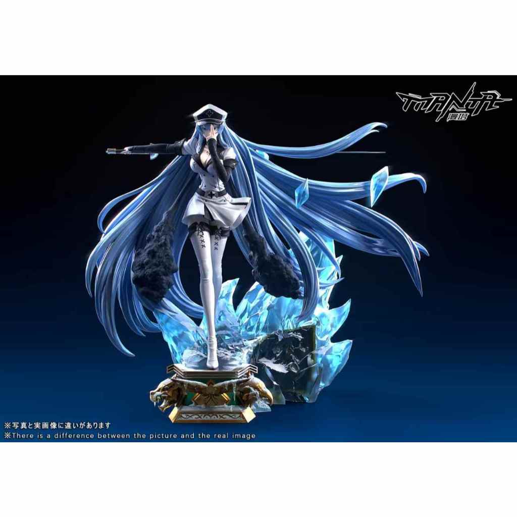 Man Ta Studio - Esdeath Akame ga Kill! Resin Statue GK Anime Figure ...
