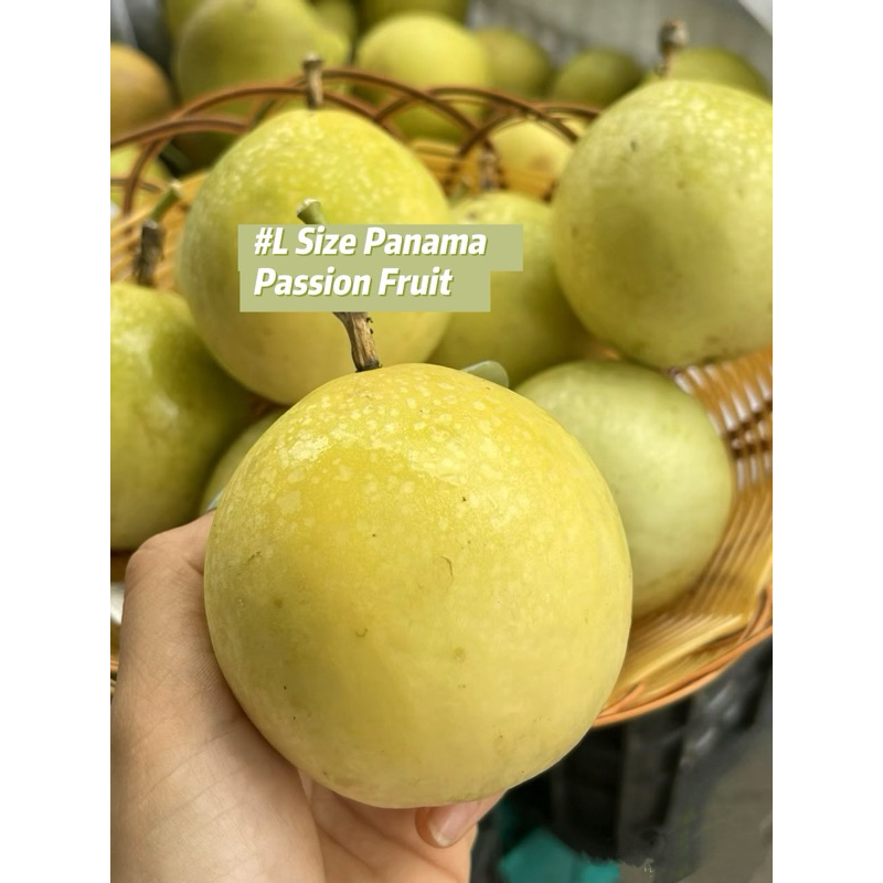 (L size=11pcs/kg) Panama Golden Rose Passion Fruit 100% Sweet Vitamin C ...