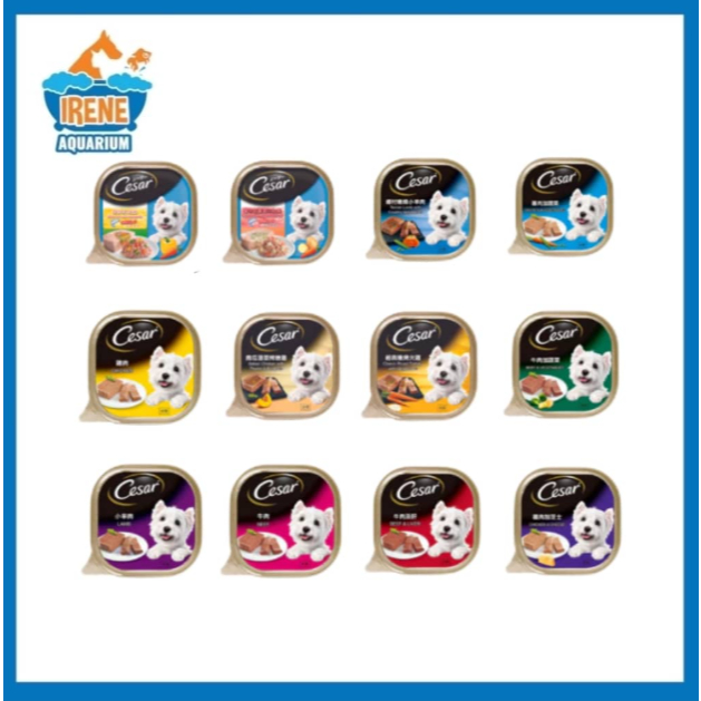 Cesar Alu-Cup Dog Wet Food 100g | Shopee Malaysia
