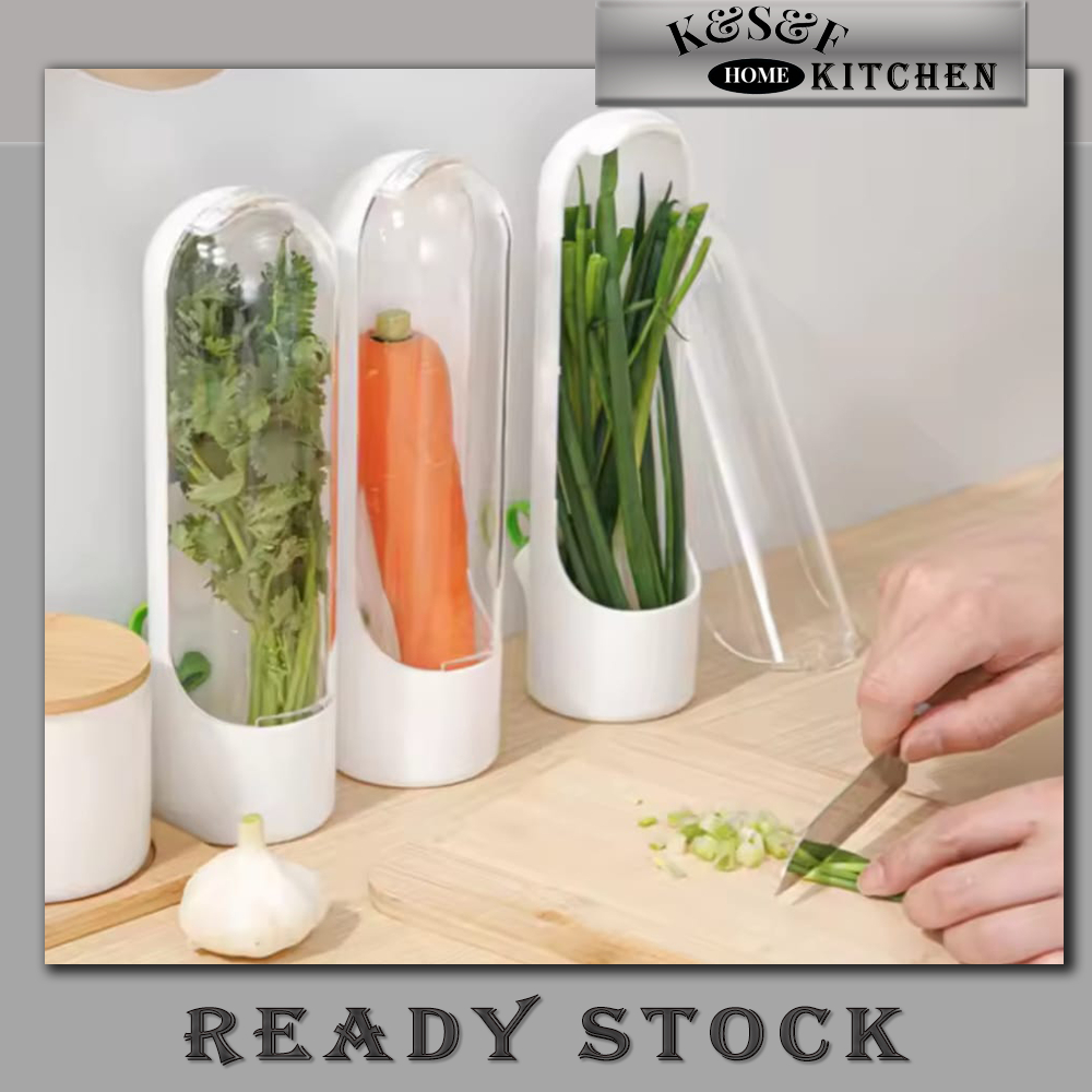 Herb Saver Storage Container Fresh Herb Keeper Vanilla Vegetable Fresh ...