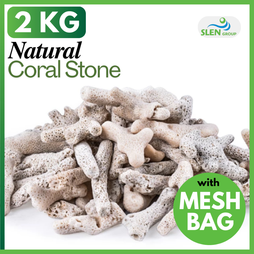 SLEN 2 KG Coral Stone Bio Filter Media Aquarium Coral Bone Stone ...