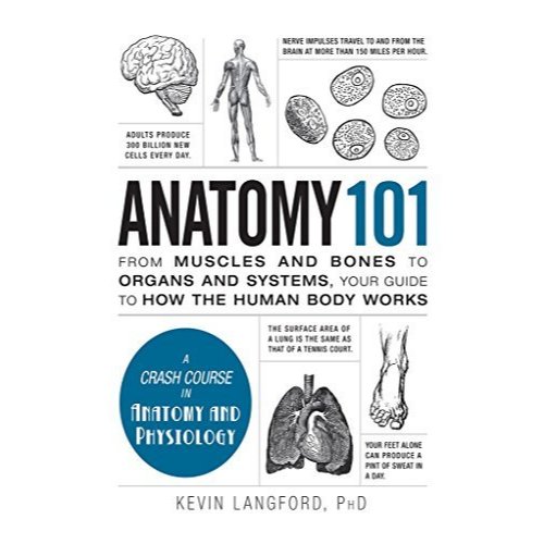 Anatomy 101: From Muscles and Bones to Organs and Systems, Your Guide ...