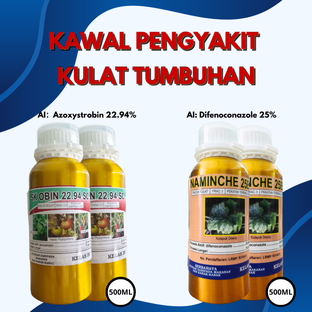 【Antraknos/Bintik Daun/Reput Daun 】Package - SK Obin X2 Naminche X2 ...