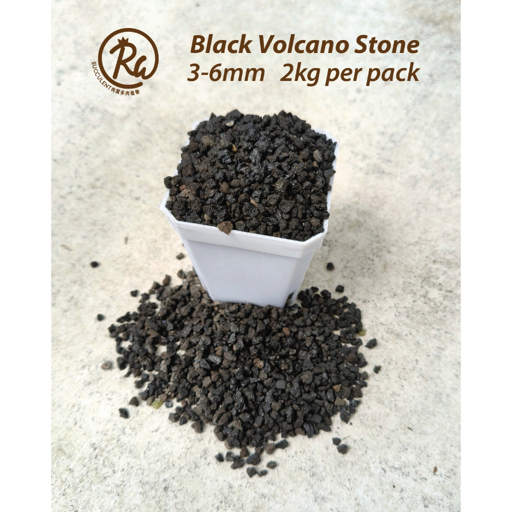 [READY STOCK] Black Volcano Stone 黑色火山石 3-6mm 2KG 黑色火山石 多肉介质 Succulent ...