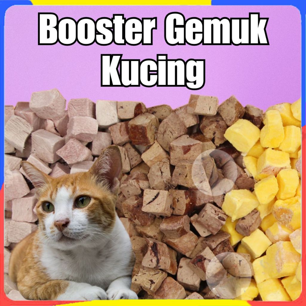 PETSEE Booster Gemuk Kucing Chicken Breast for Cat Freeze Dried Chicken ...